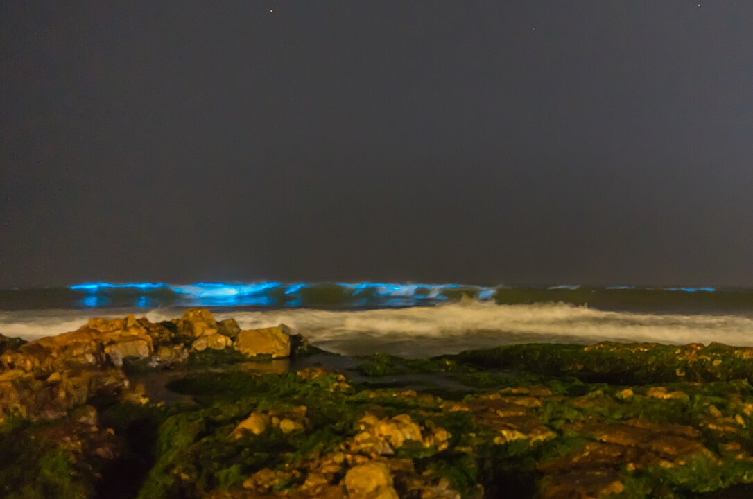 12 Rare Natural Events You Might See in Your Lifetime